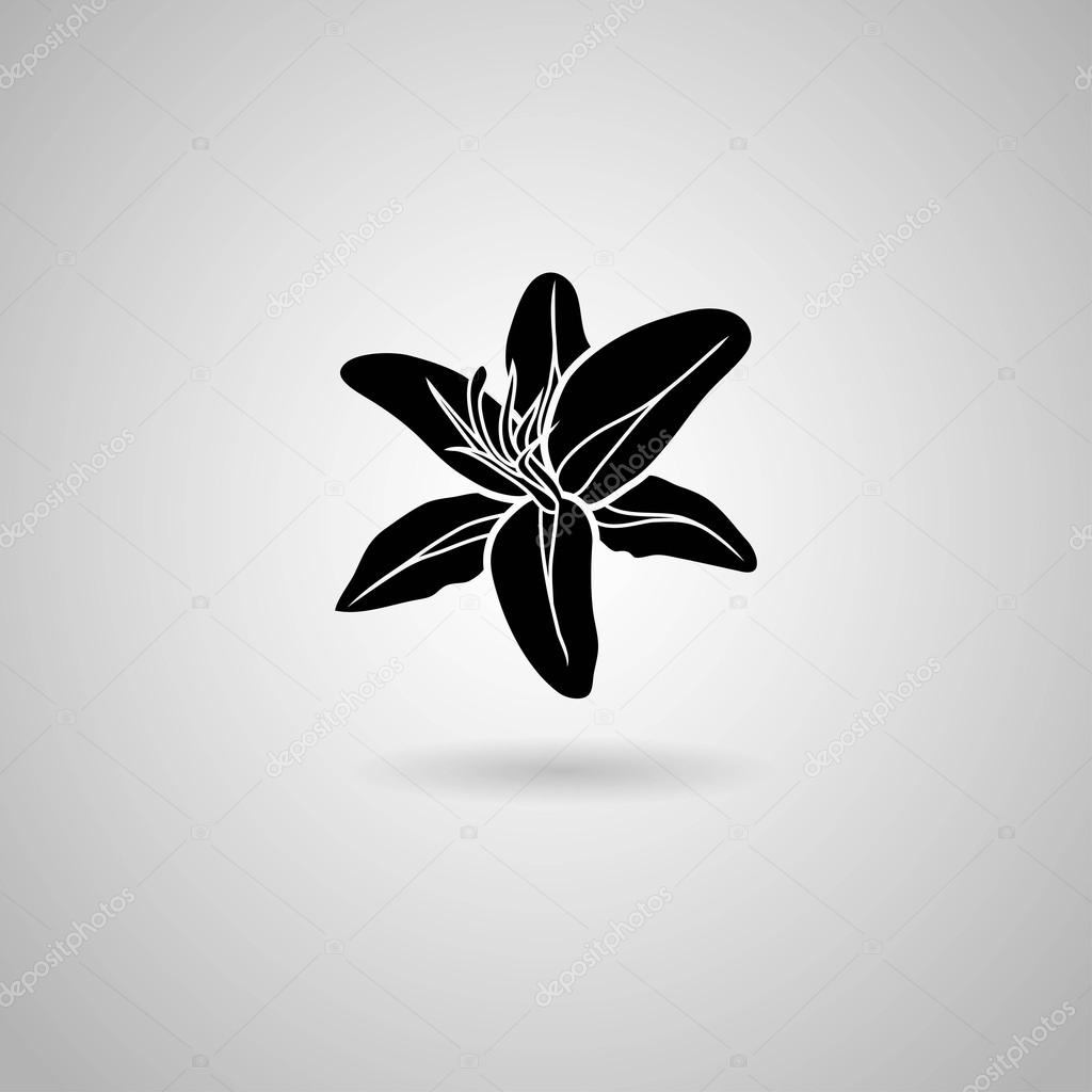 Black Lily flower icon Stock Vector Image by ©Boykung #71134483
