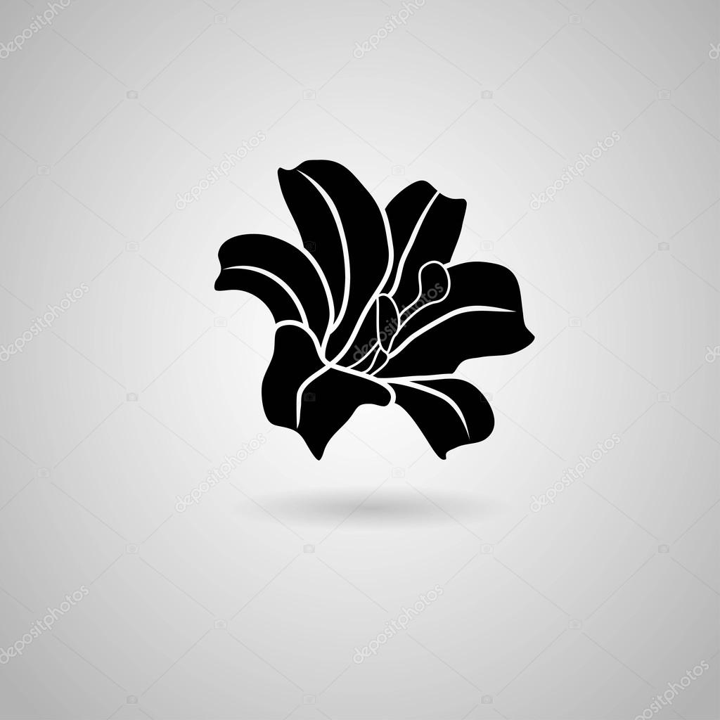 Art Lily Flower Icon