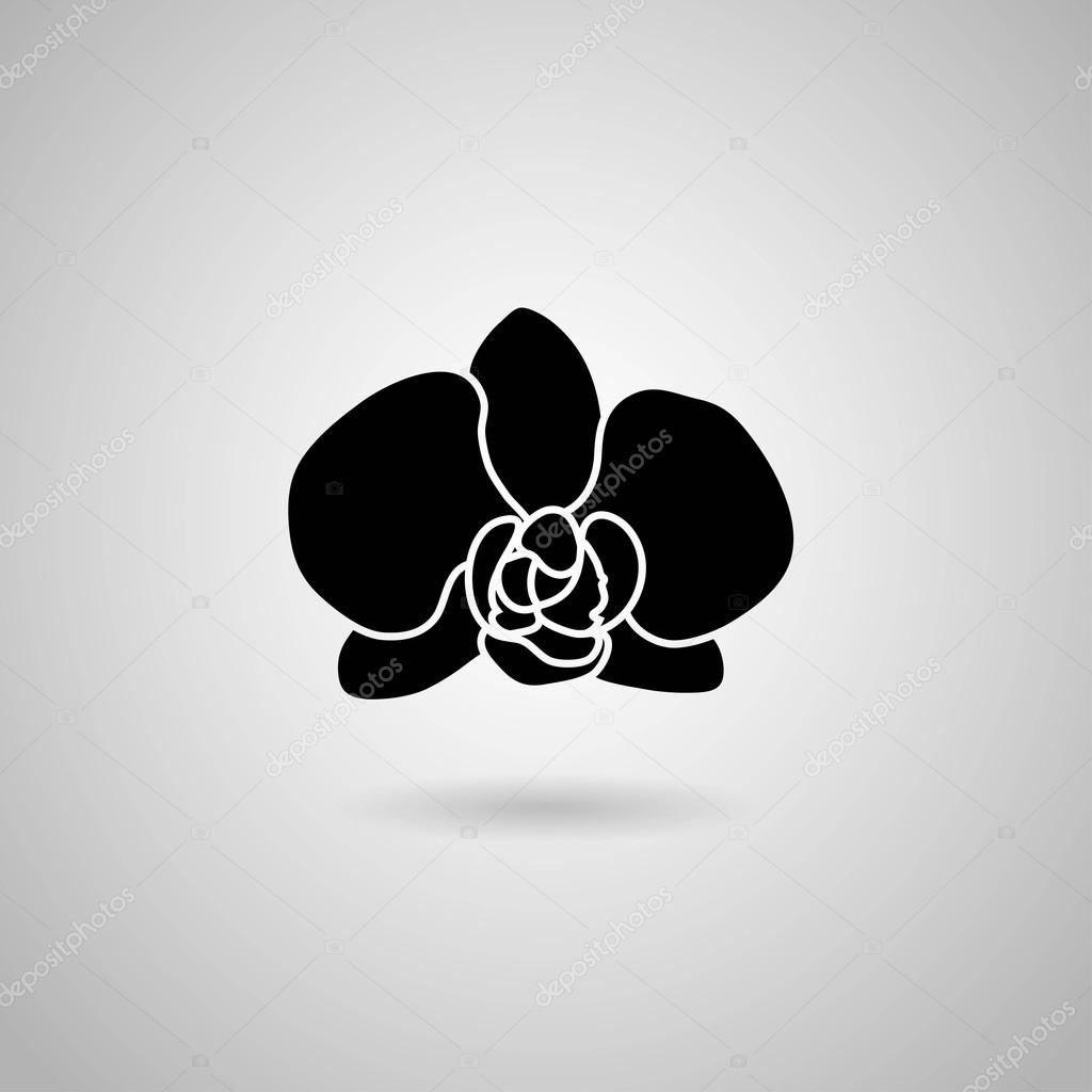 Orchid flower icon Stock Vector by ©Boykung 71134579