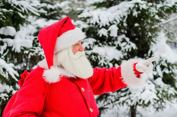 Santa in forest Stock Photos, Royalty Free Santa in forest Images ...