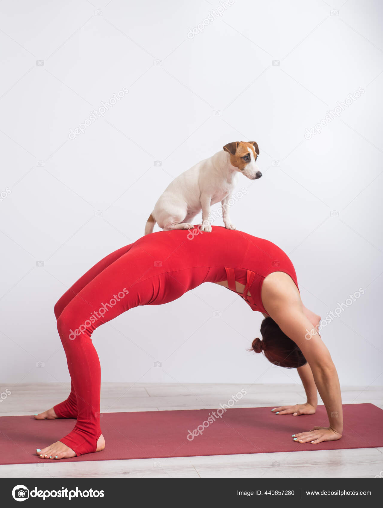 Woman in bridge pose with dog. Girl doing yoga with her pet. — Stock Photo © inside-studio ...