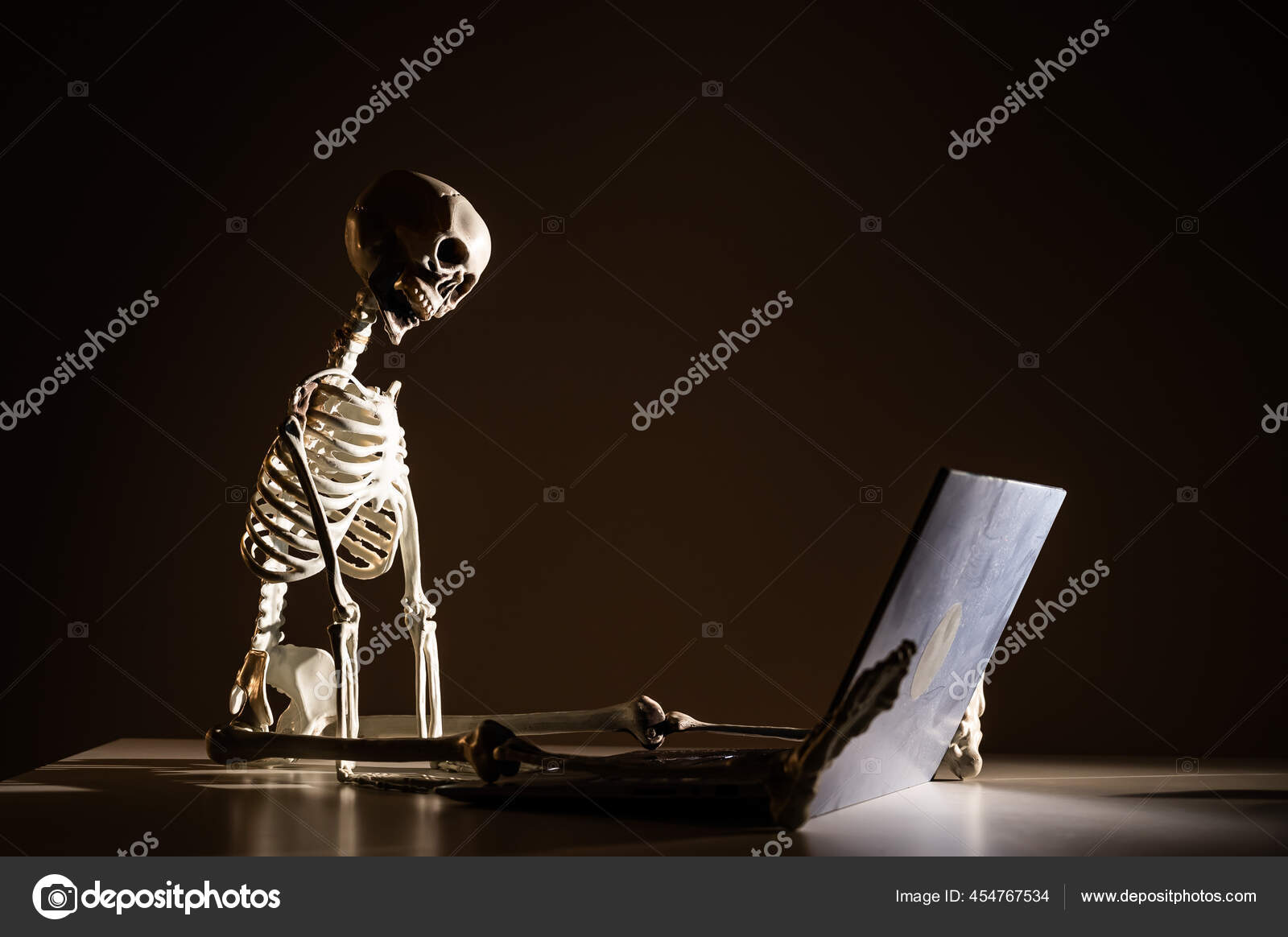 Skeleton Sitting On Computer