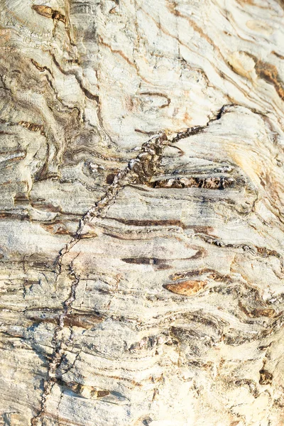 Metamorphic rocks Stock Photos, Royalty Free Metamorphic rocks Images ...