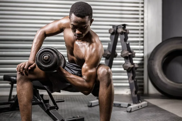 676 Shirtless slender man Stock Photos | Free & Royalty-free Shirtless ...