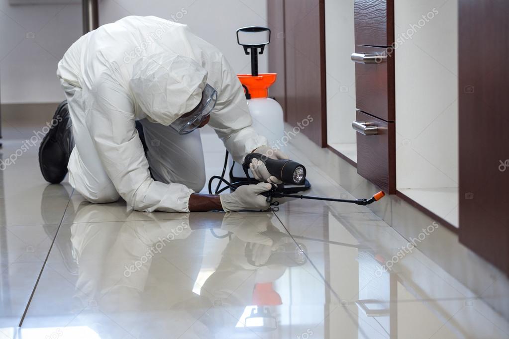 Pest control man spraying pesticide Stock Photo by ©Wavebreakmedia ...