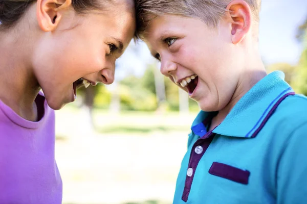 Siblings fighting Images - Search Images on Everypixel