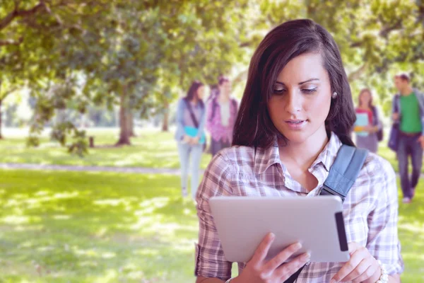 Students walking in the park - Stock Image - Everypixel