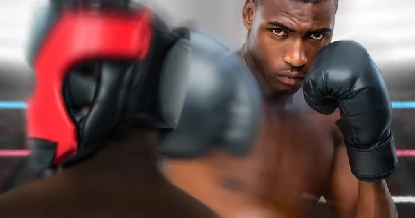 Boxing Stance Side View