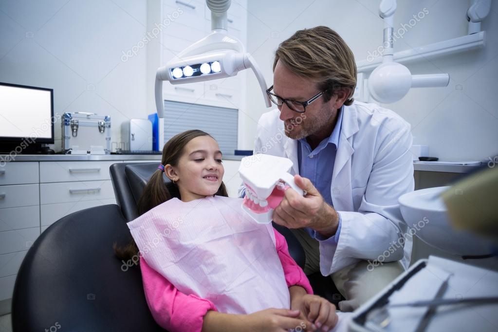 Dentist showing model teeth to patient — Stock Photo © Wavebreakmedia ...