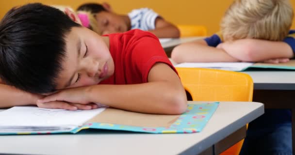 Kids Sleeping In Class