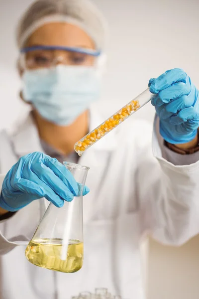Food scientist doing an experiment with corn - Stock Image - Everypixel