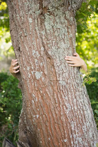 Woman hugging a tree - Stock Image - Everypixel