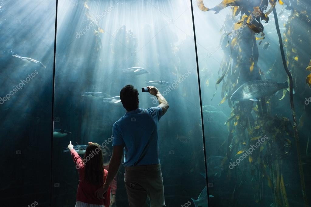 Father and daughter looking at fish tank — Stock Photo © Wavebreakmedia ...
