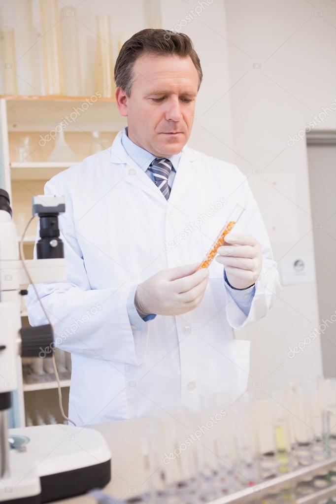 Scientist looking at test tube with seeds Stock Photo by ...