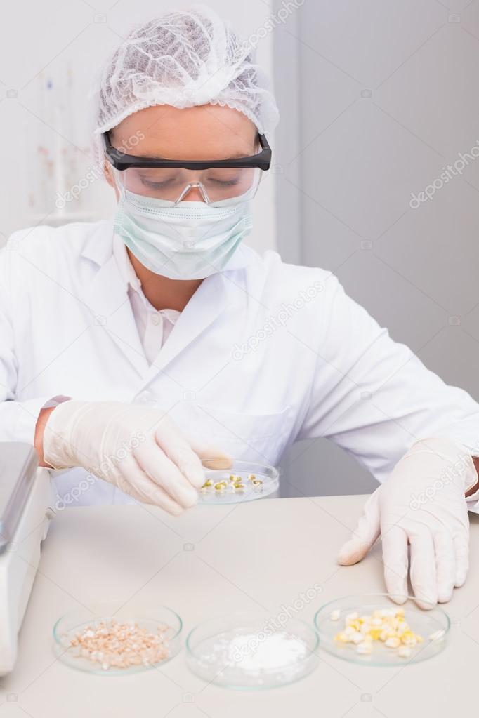 Scientist weighing corn and kernel with scales Stock Photo by ...