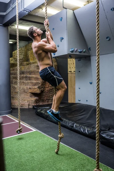 Crossfit rope climbing Stock Photos, Royalty Free Crossfit rope ...