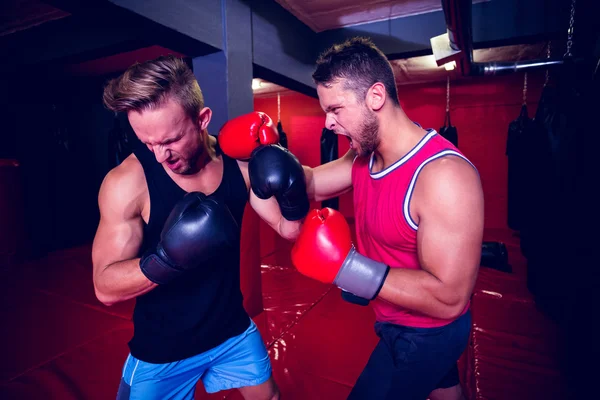 Boxing preparation Stock Photos, Royalty Free Boxing preparation Images ...