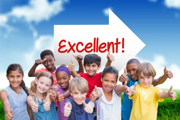 Excellent against blue sky over green field - Stock Image - Everypixel