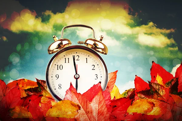 Autumn time Stock Photos, Royalty Free Autumn time Images | Depositphotos