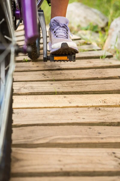 Pedal woman Images - Search Images on Everypixel