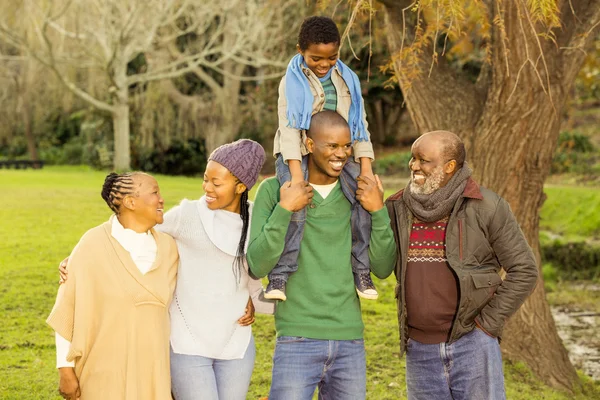 Extended family portrait Stock Photos, Royalty Free Extended family ...