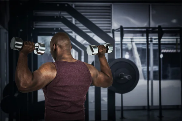 Fit man exercising with dumbbell - Stock Image - Everypixel