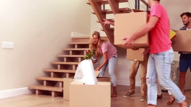 9,045 Caixa viva Videos, Royalty-free Stock Caixa viva Footage ...