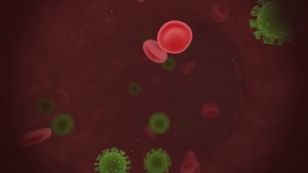 Animation of a virus infection in blood stream — Stock Video © razvan25 ...
