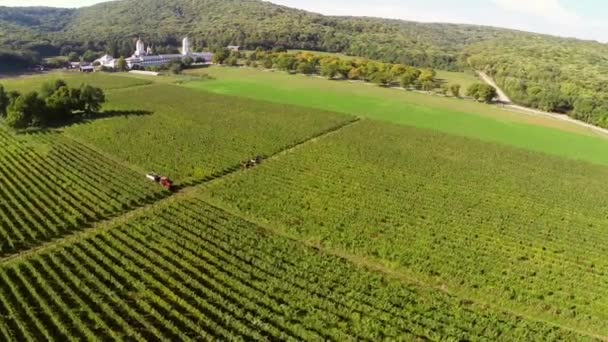 Beautiful vineyards landscape with monastery in the background, aerial ...