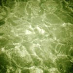 Free Stock photo of Shallow clear water with coral | Photoeverywhere