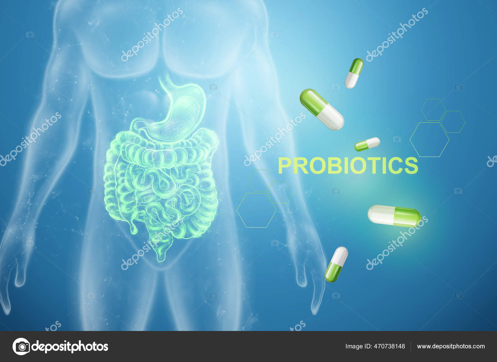 Intestinal Microflora