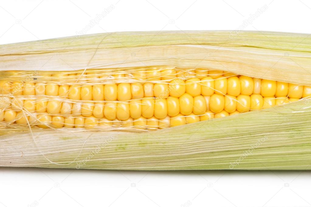 Corn maize with kernels Stock Photo by ©igorkovalcuk 110720644