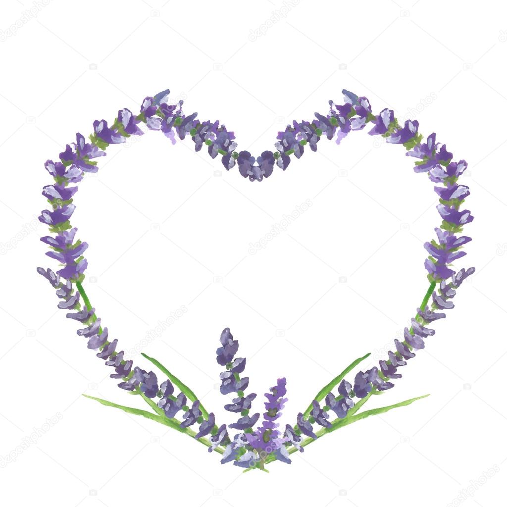 Lavender heart, wedding or valentine graphic motive, watercolor ...