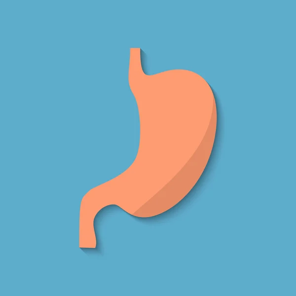 Human stomach vector icon Stock Vector Image by ©atibody #36028271