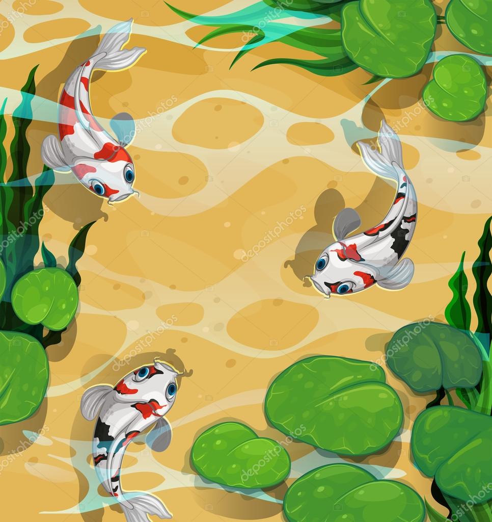 Fish Pond Clipart