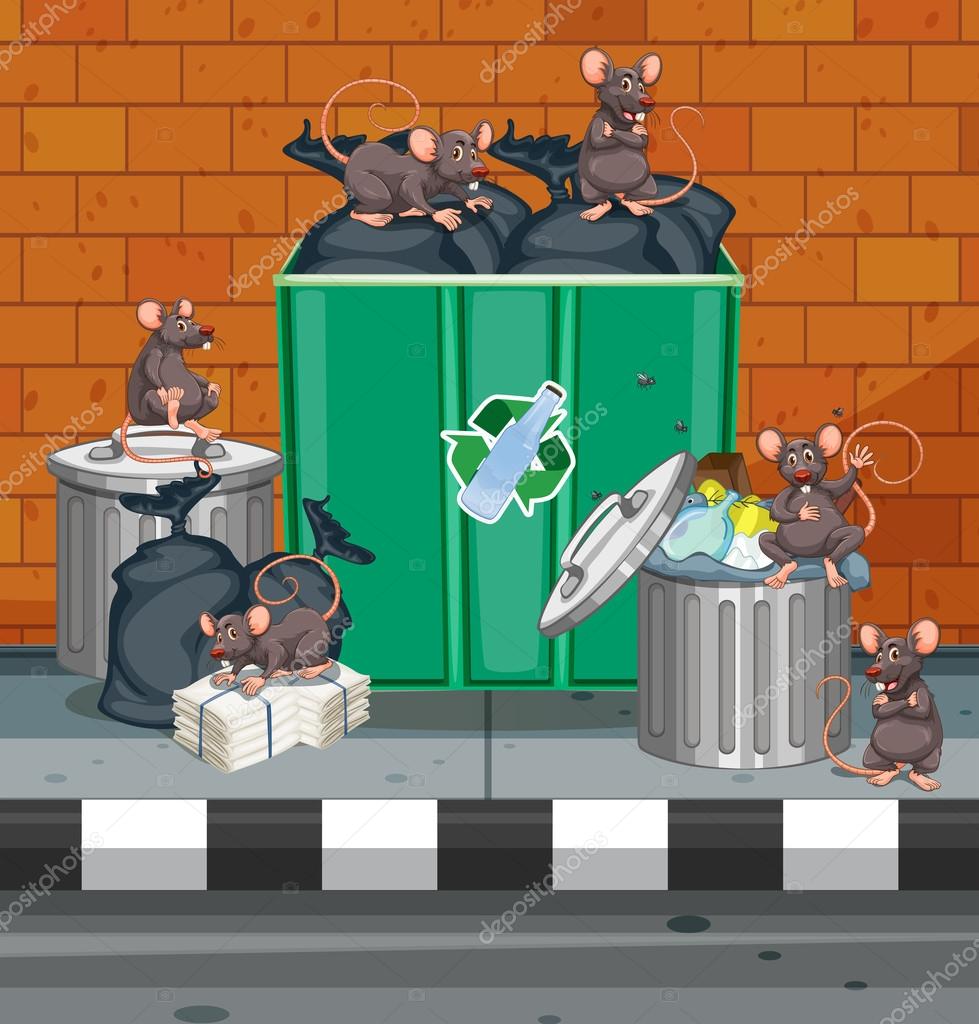 Dirty rats all over trashcans Stock Vector Image by ©interactimages ...