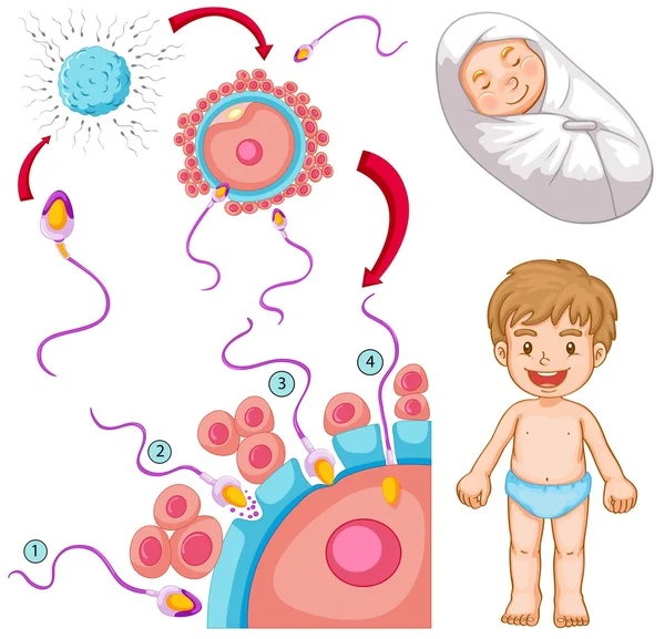 48,980,180 ilustraciones de stock de Reproduccion | Depositphotos