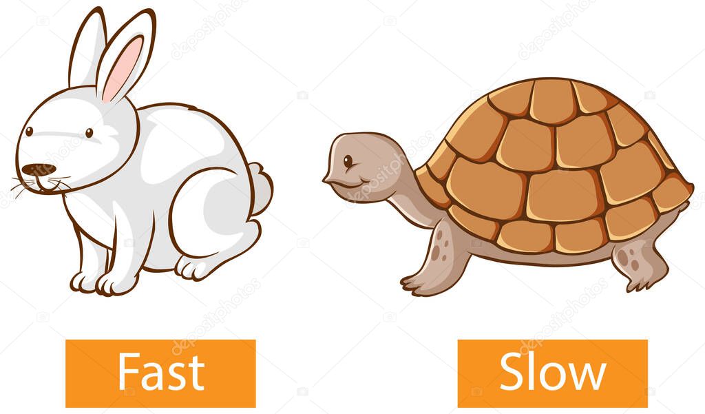 Adjetivos opuestos palabras con ilustración rápida y lenta 2023