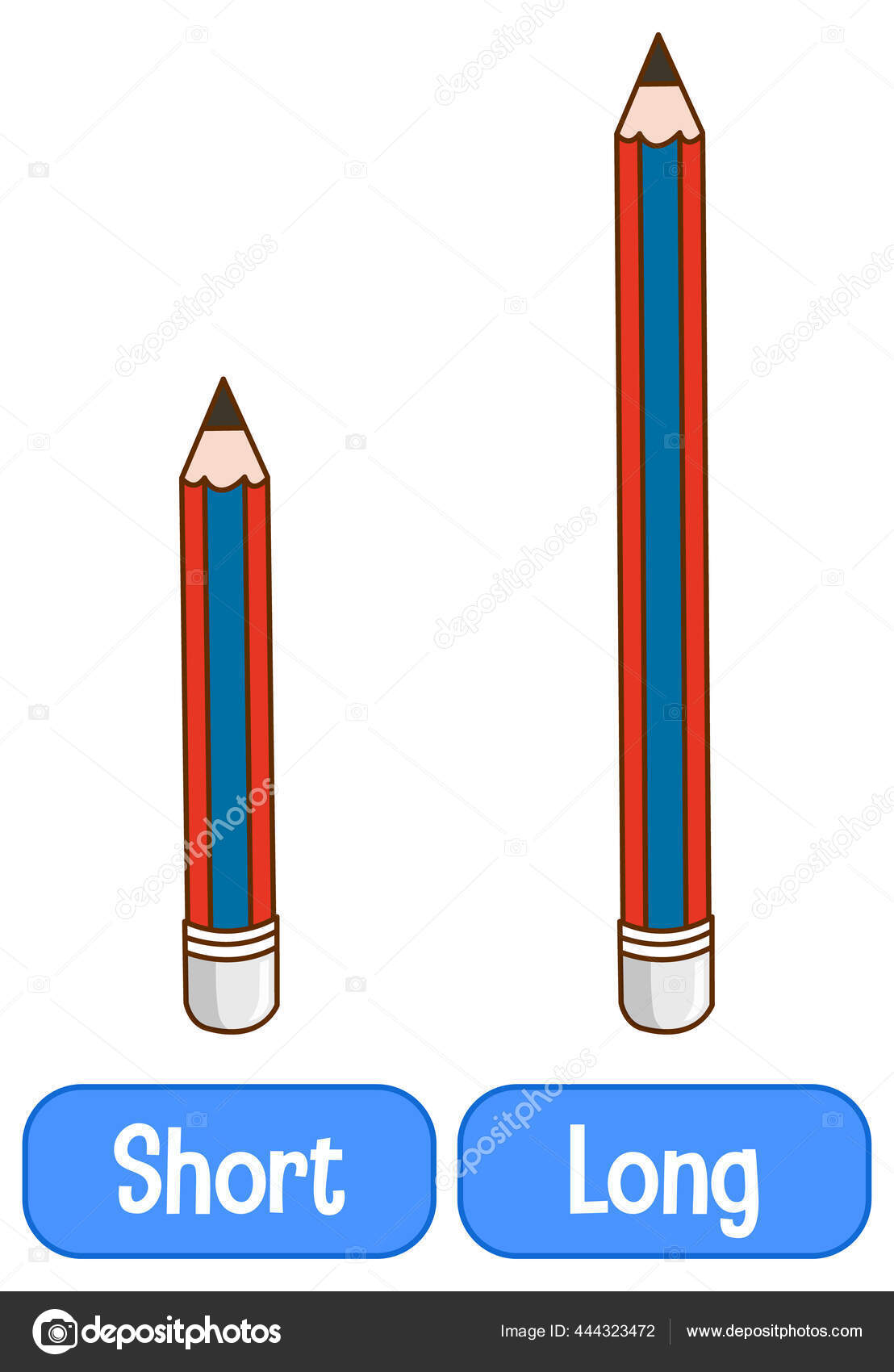 Adjectives Words Short Long Illustration Stock Vector Image by ...