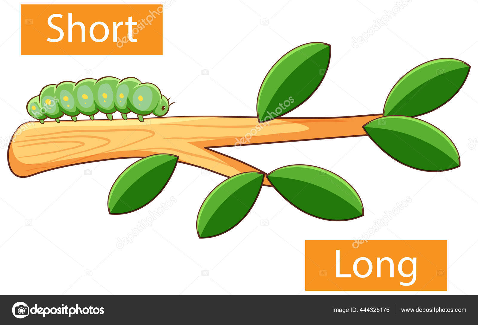 Adjectives Words Short Long Illustration Stock Vector Image by ...