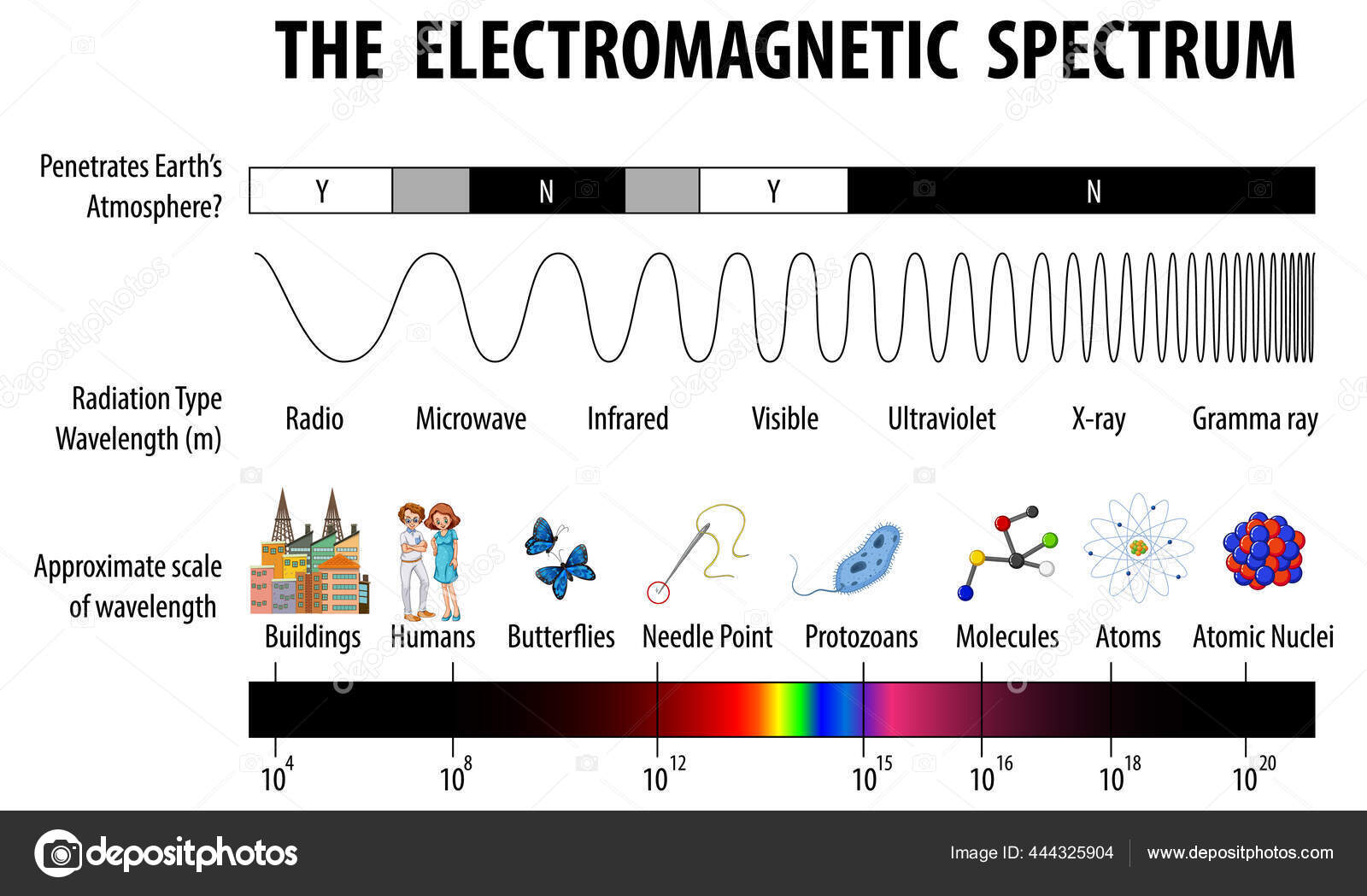 Illustration Diagramme Spectre Électromagnétique Scientifique Vecteur ...