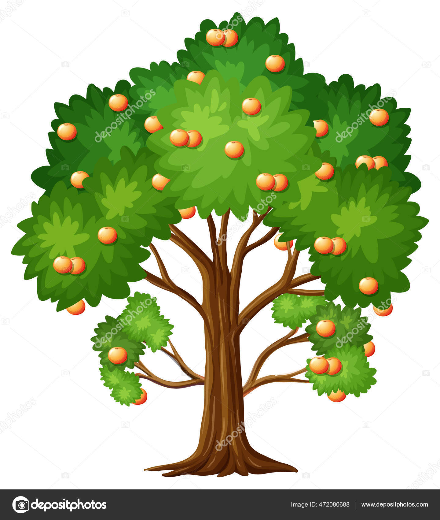 Fruit Tree Animation
