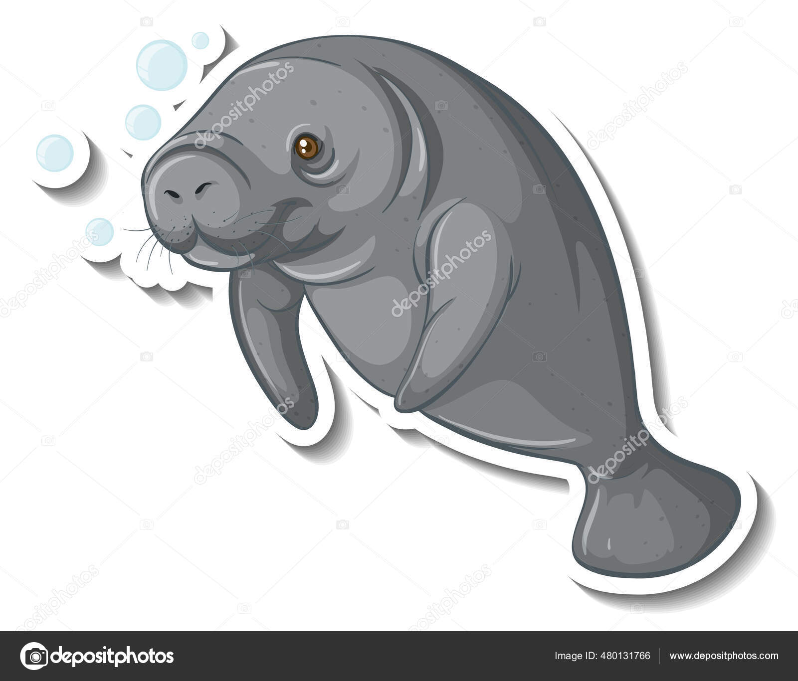 Manatee Spiser Sjøgress Florida Manatee Incident Investigated