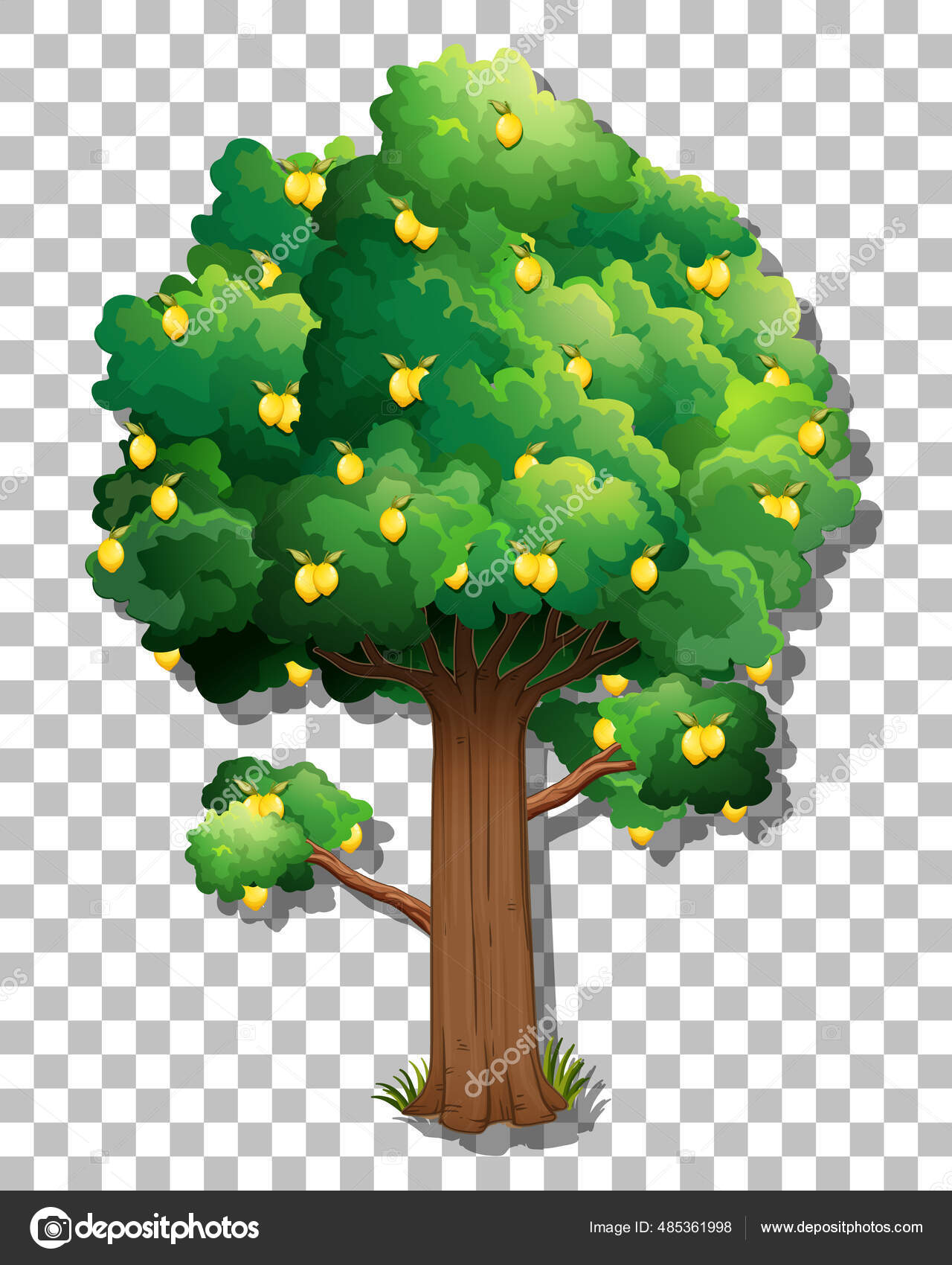Lemon Tree Transparent Background Illustration Stock Vector by ©interactimages 485361998