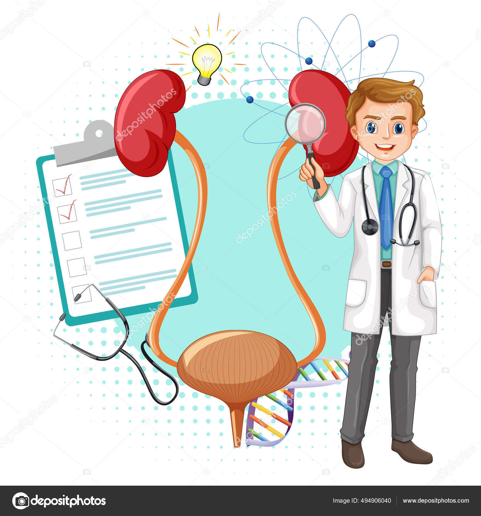 Doctor Human Kidney Bladder White Background Illustration Stock Vector ...