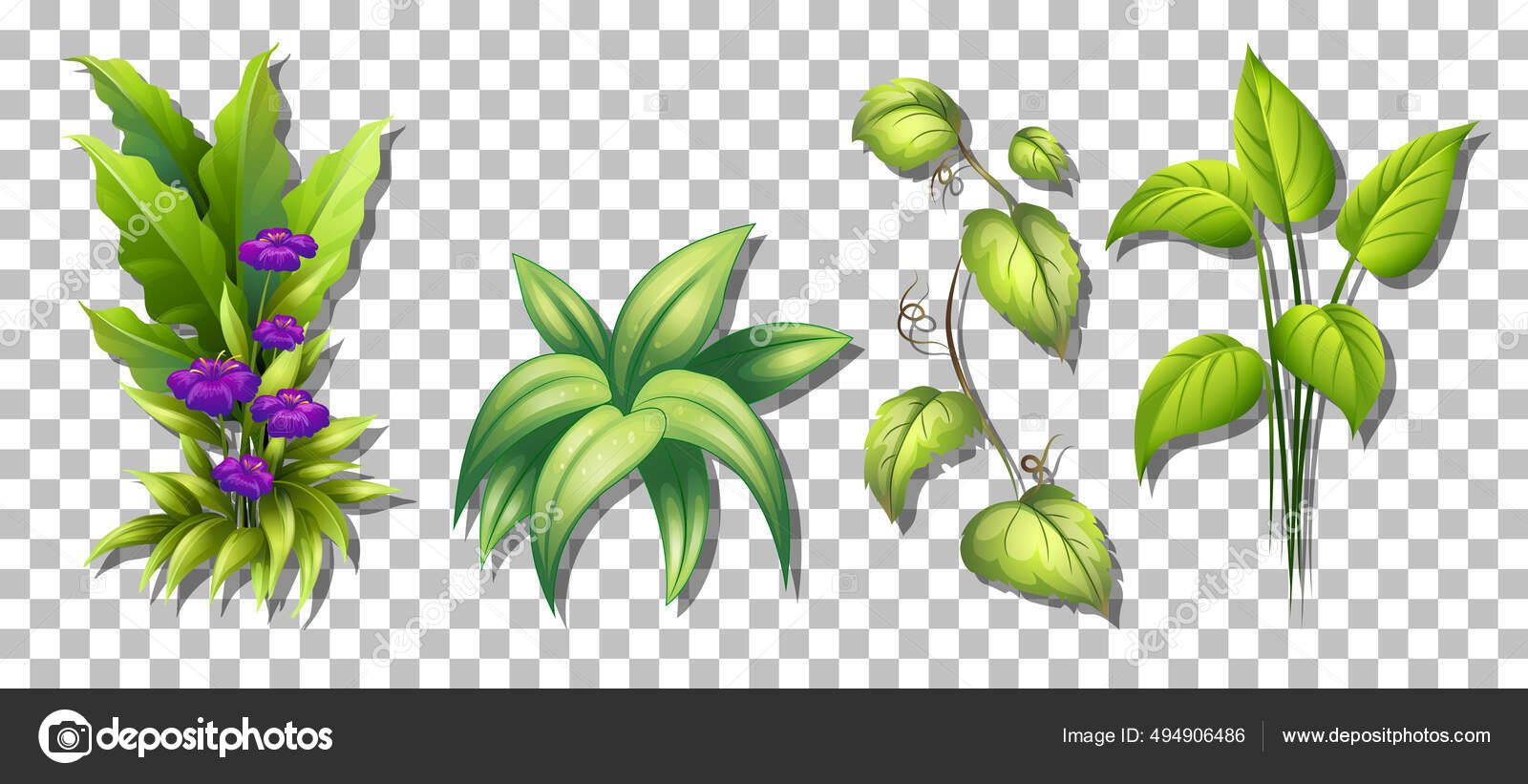 Set Various Plants Transparent Background Illustration Stock Vector by ...