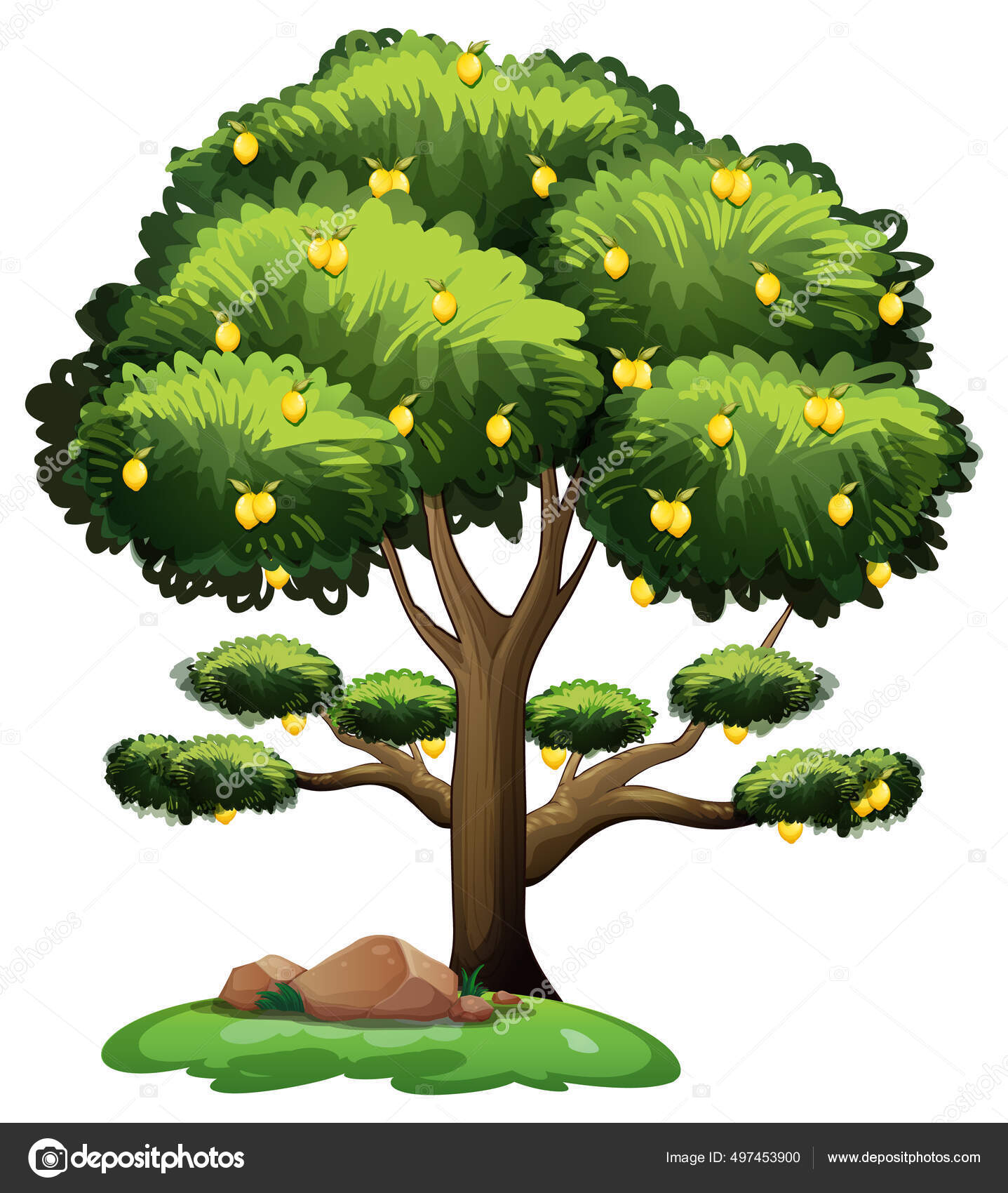 Mango Tree Cartoon Images