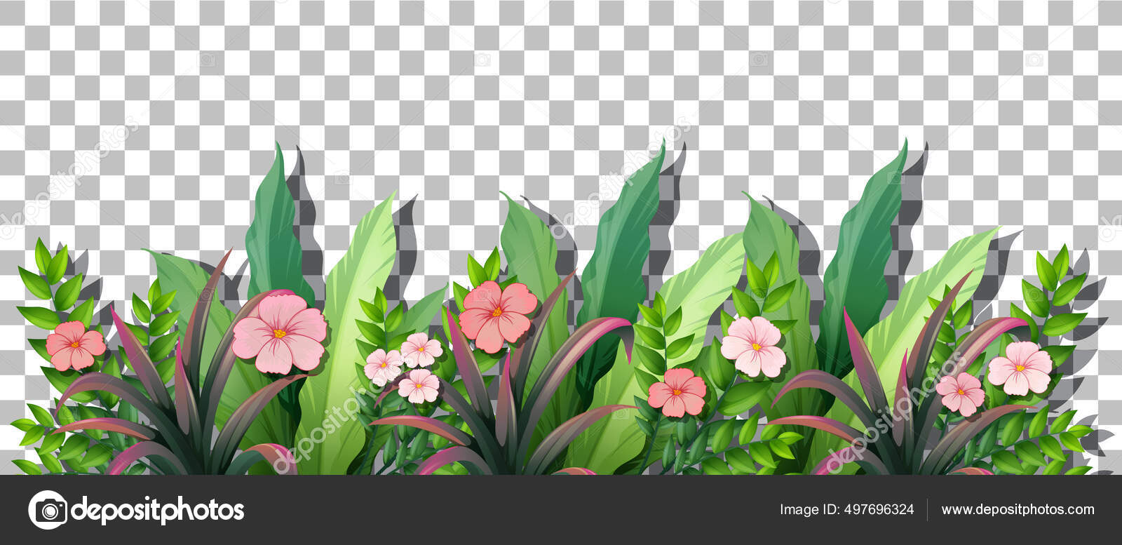 Various Tropical Plants Transparent Background Illustration Stock ...