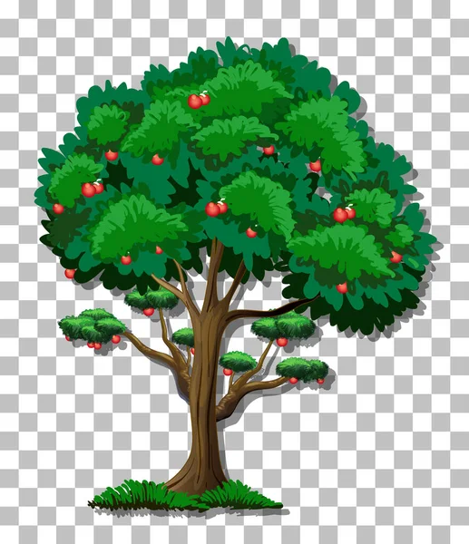 Summer Tree Clip Art
