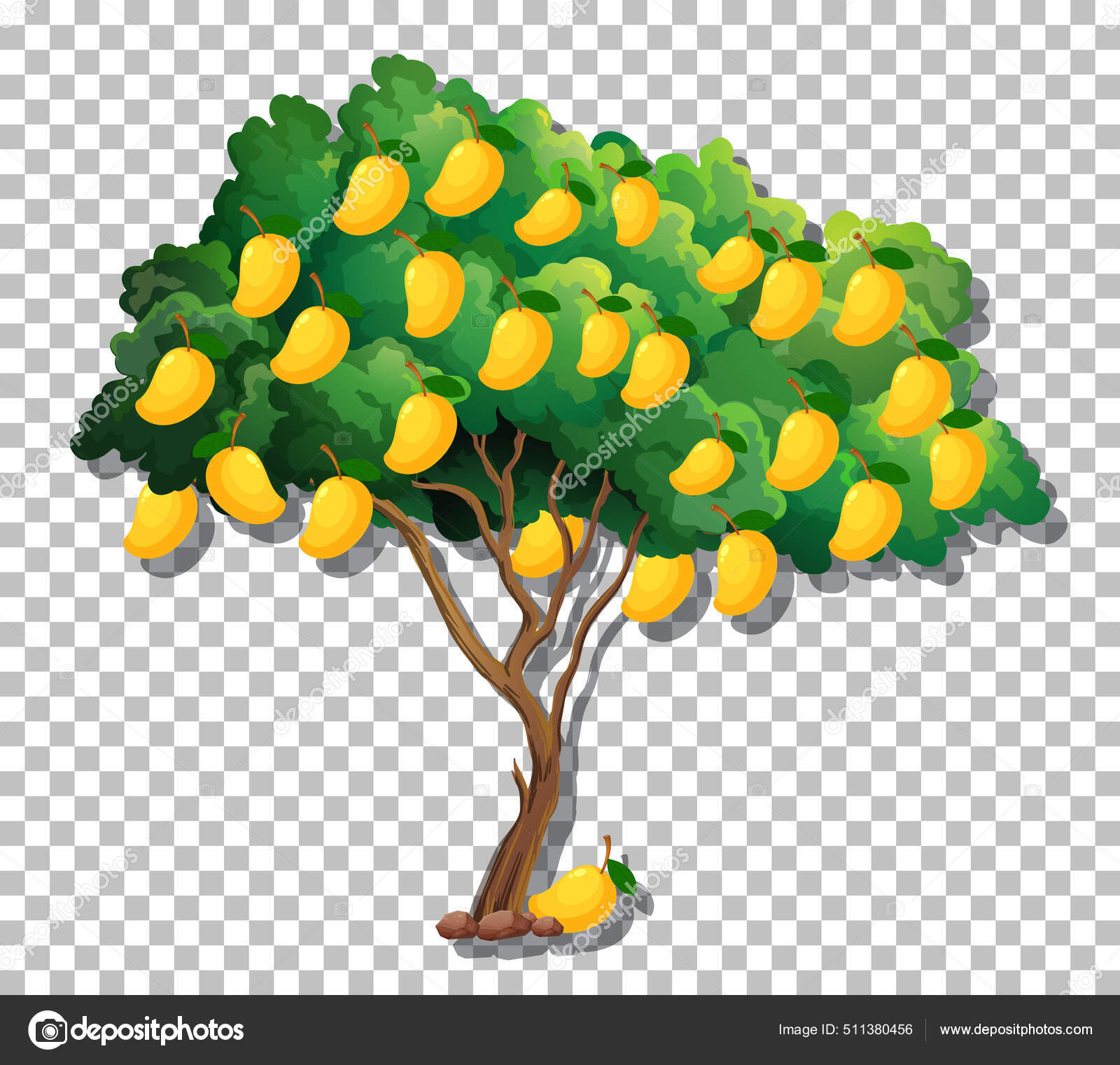 Mango Tree Transparent Background Illustration Stock Vector Image by ...